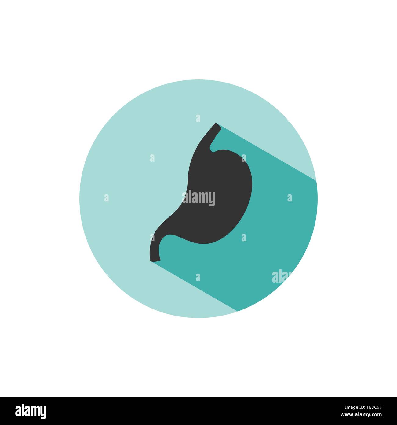 Stomach icon with shade on green circle. Vector illustration Stock ...