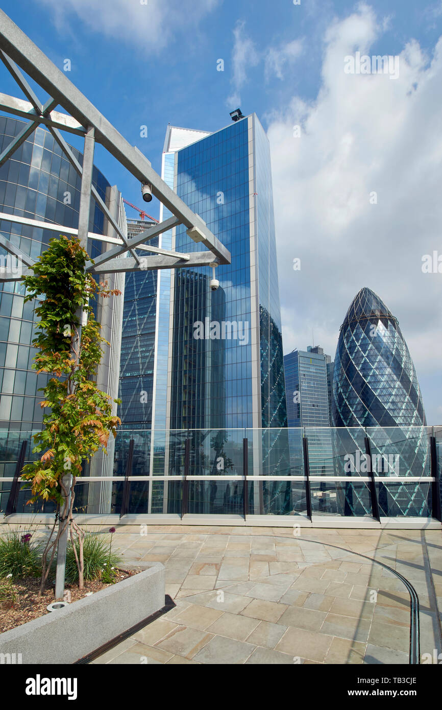 LONDON FEN COURT GARDEN AT 120 WISTERIA AND SKYSCRAPERS Stock Photo - Alamy