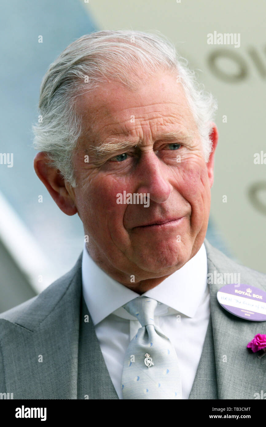 Prince charles portrait 2018 hi-res stock photography and images - Alamy
