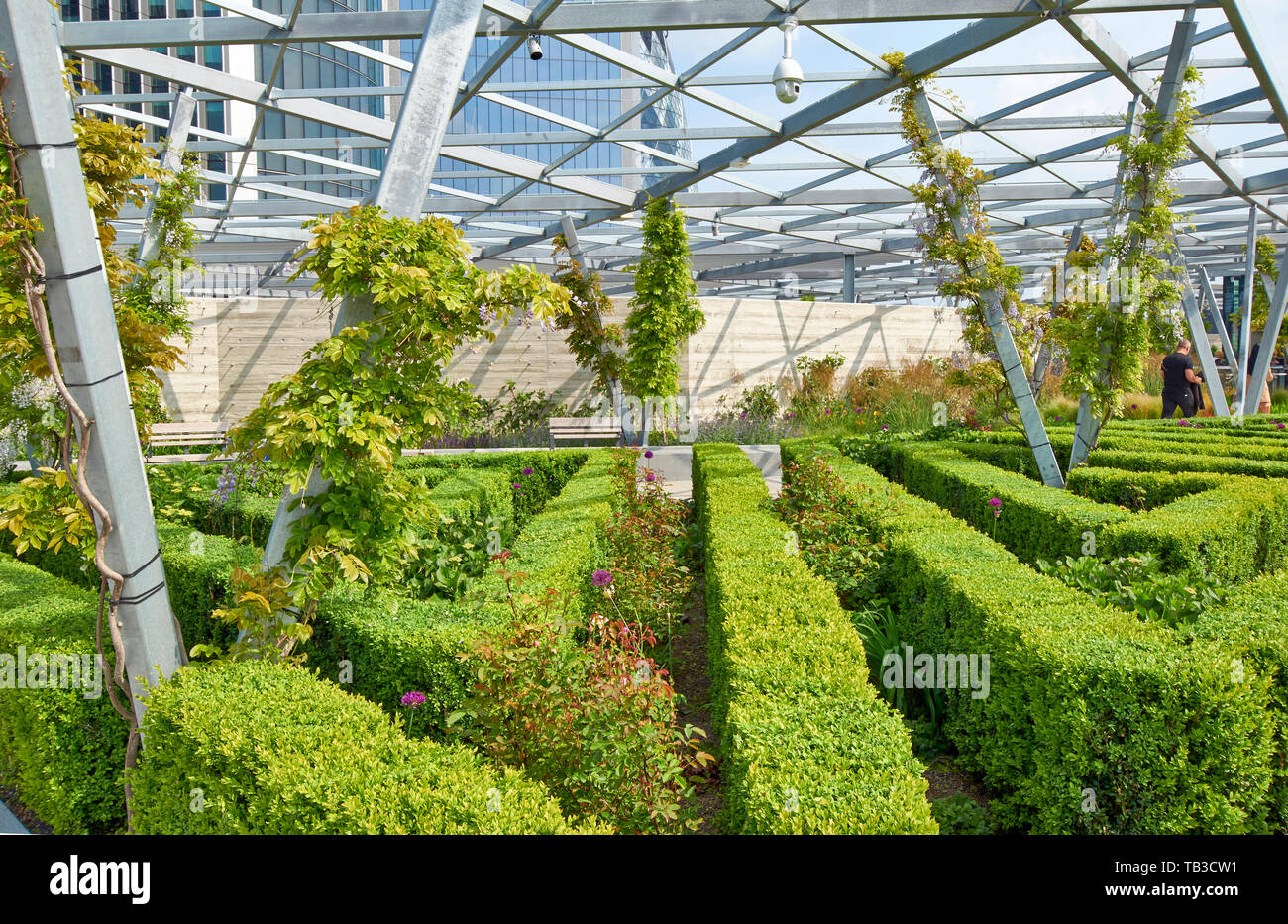 Garden modern hedges hi-res stock photography and images - Alamy