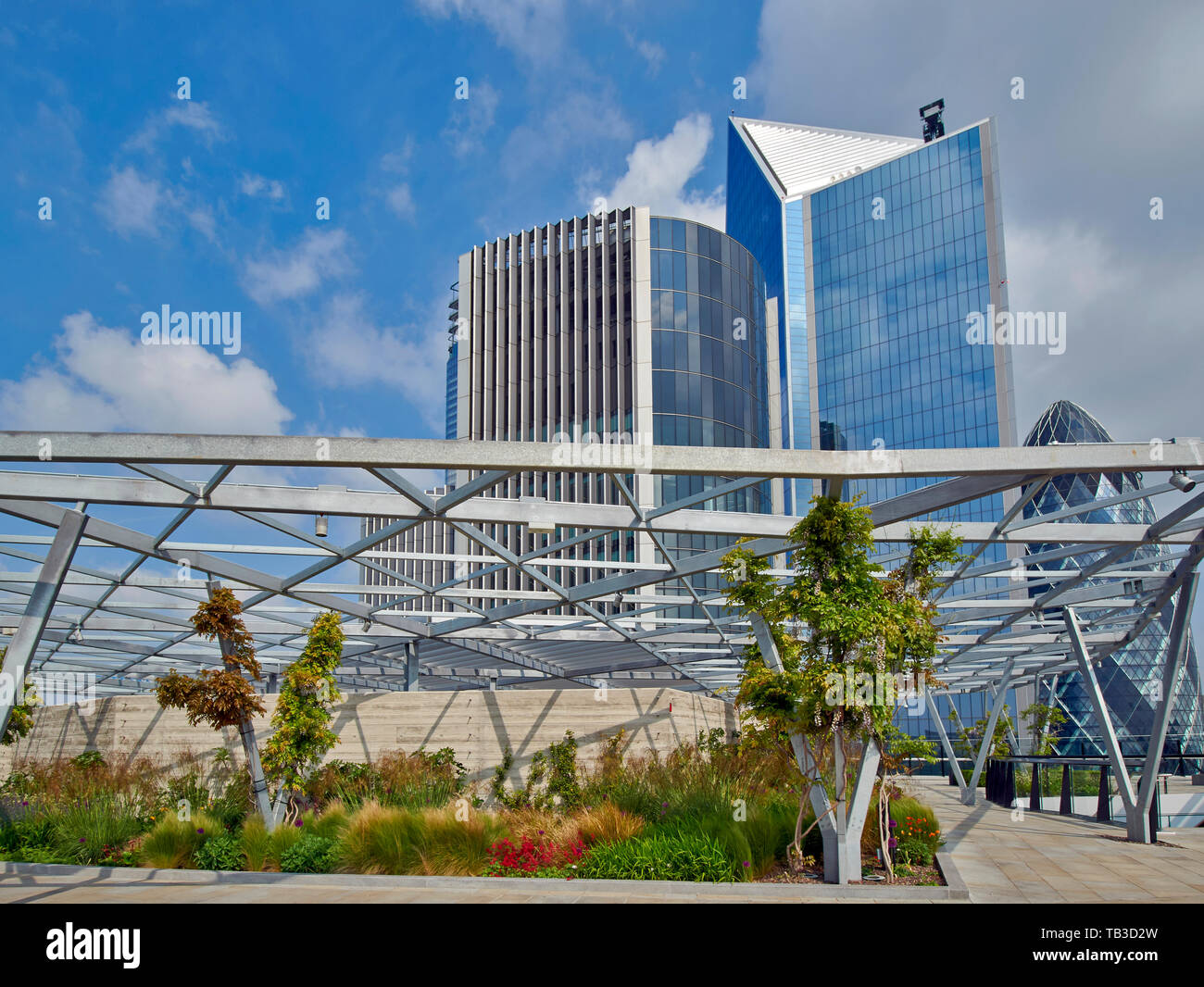 LONDON FEN COURT THE GARDEN AT 120 FLOWER BEDS WISTERIA FLOWERS ON THE ...