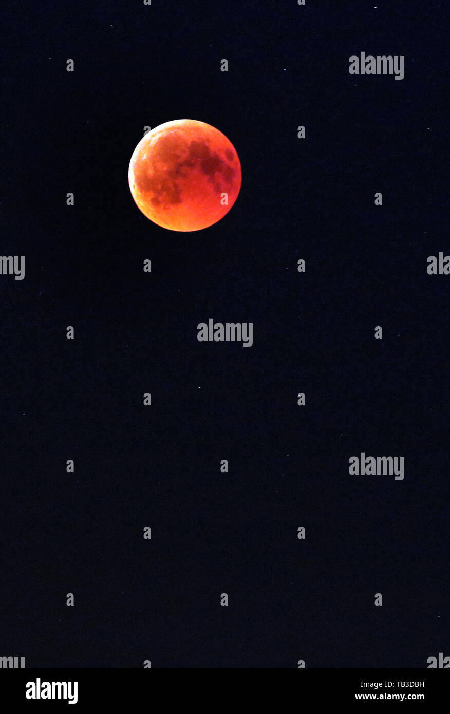 Blood Moon Colored Blood Moon Lunar Eclipse Over Detroit, Earth