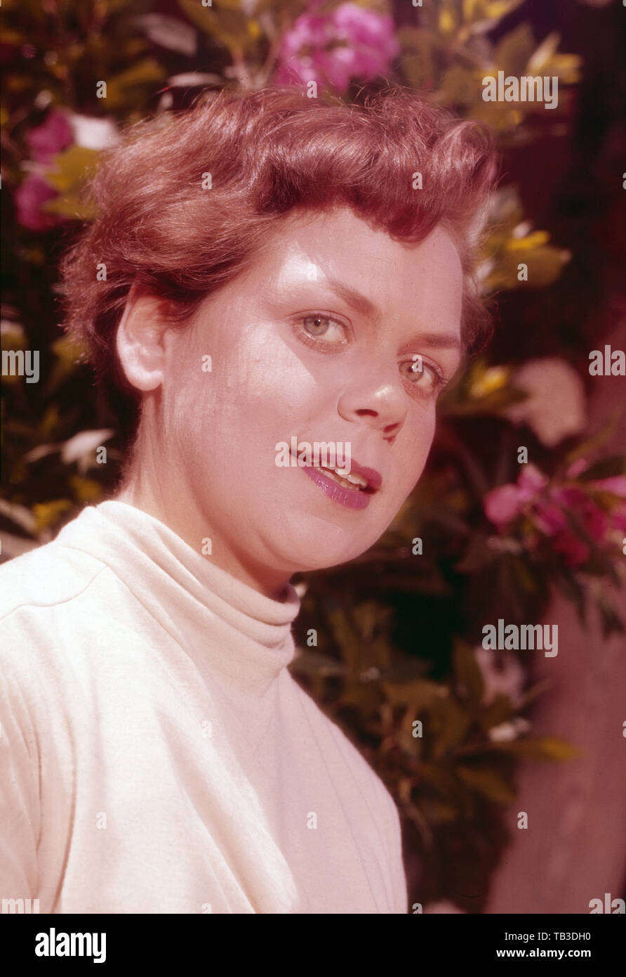 Ruth stephan hi-res stock photography and images - Alamy