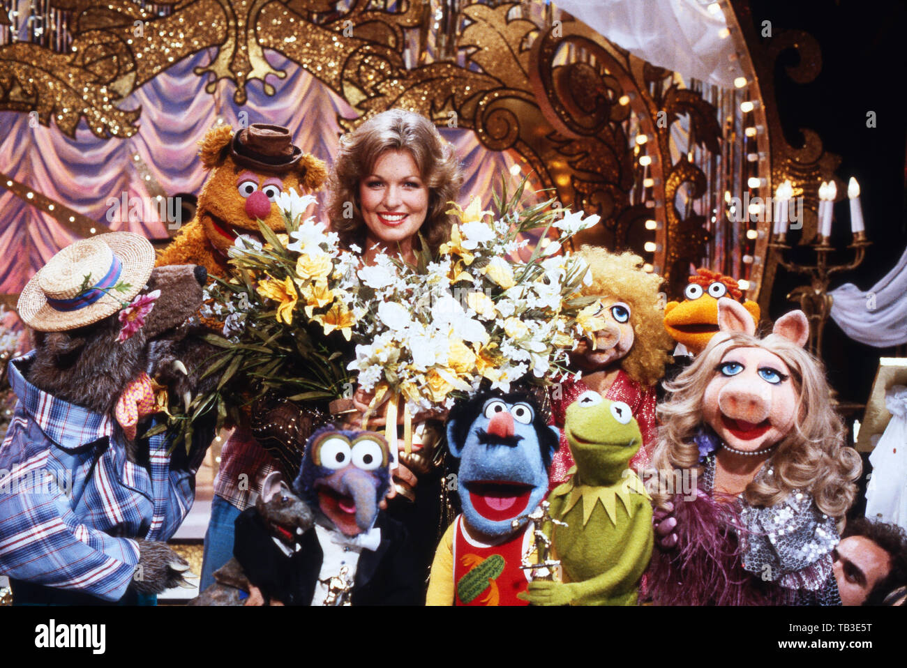 Sthe flying zucchini brothers hi-res stock photography and images - Alamy