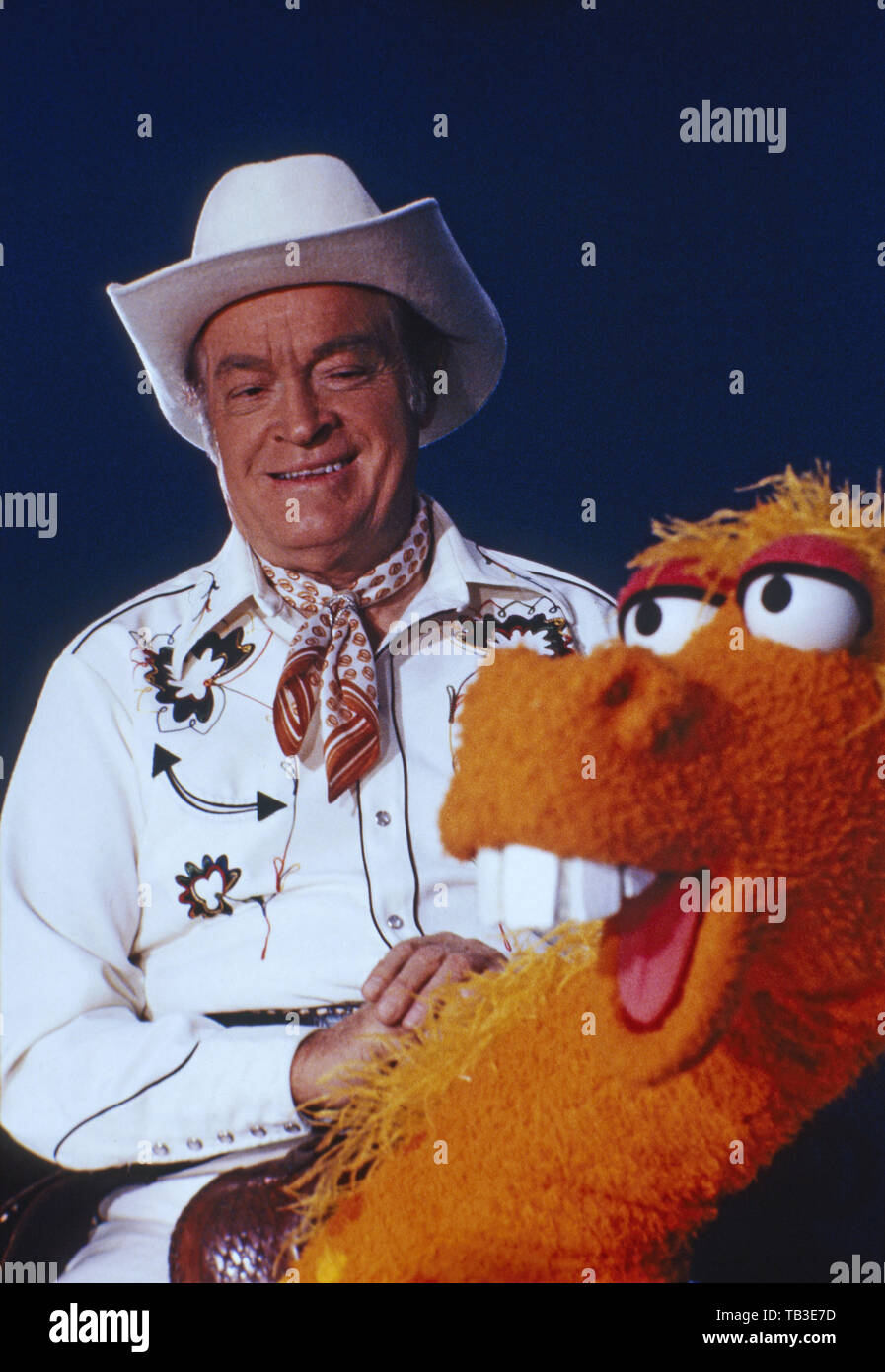 Stage star horse hi-res stock photography and images - Alamy