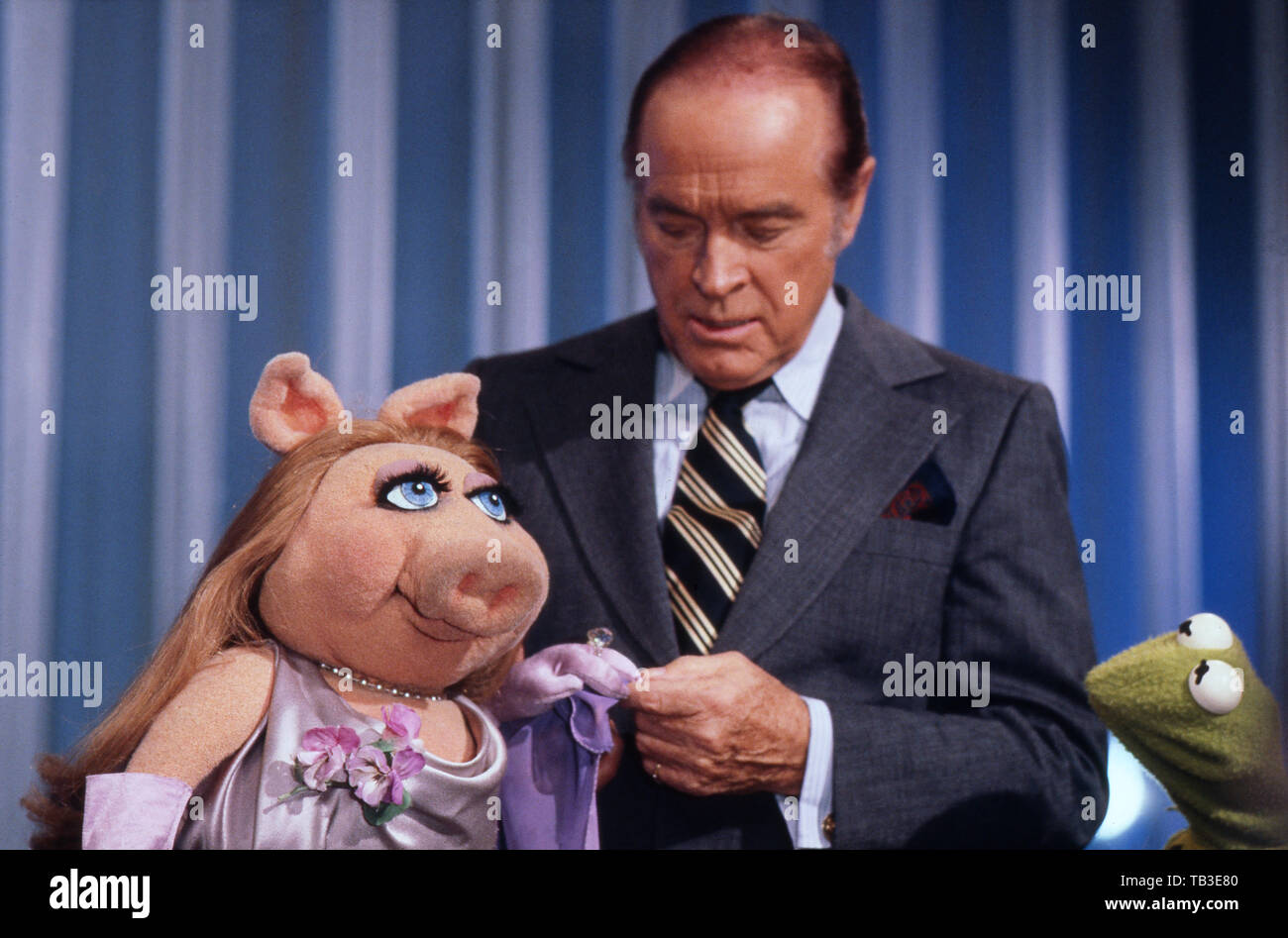 Schwein mit ring hi-res stock photography and images - Alamy