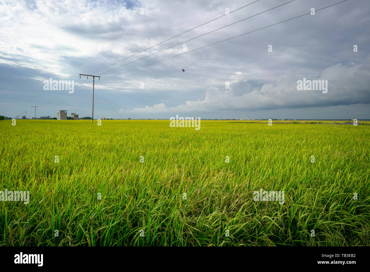 Concept rural livelihood farming hi-res stock photography and images ...