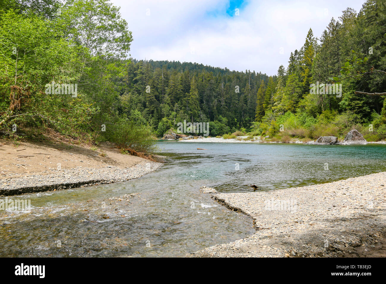 Jedediah smith river hi-res stock photography and images - Alamy