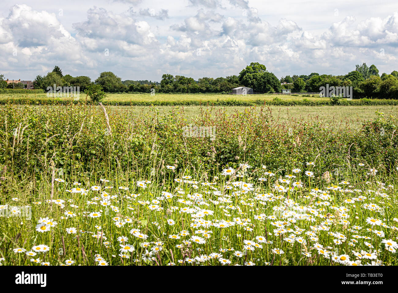 Longwick hi-res stock photography and images - Alamy