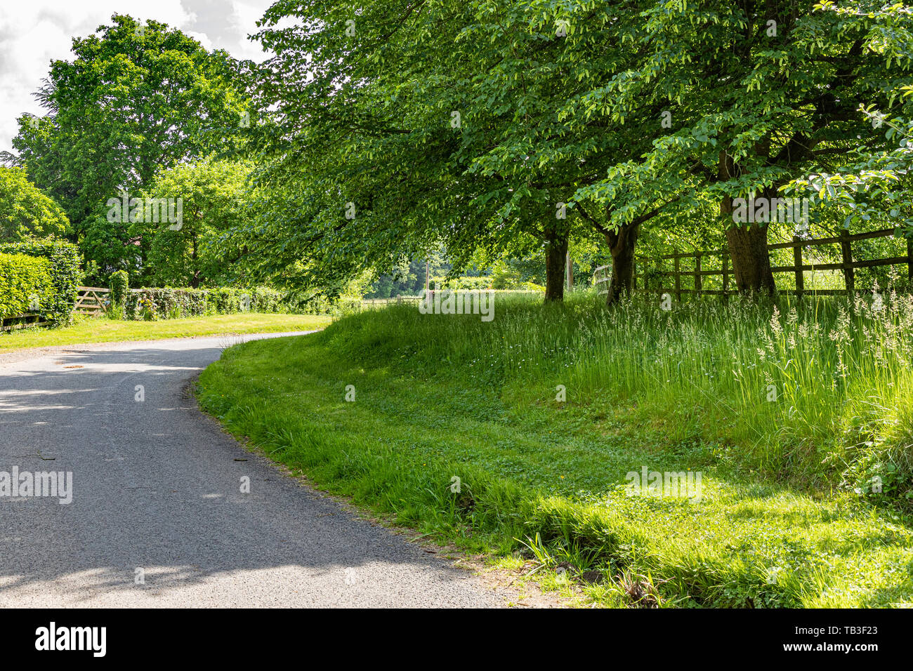 Longwick hi-res stock photography and images - Alamy