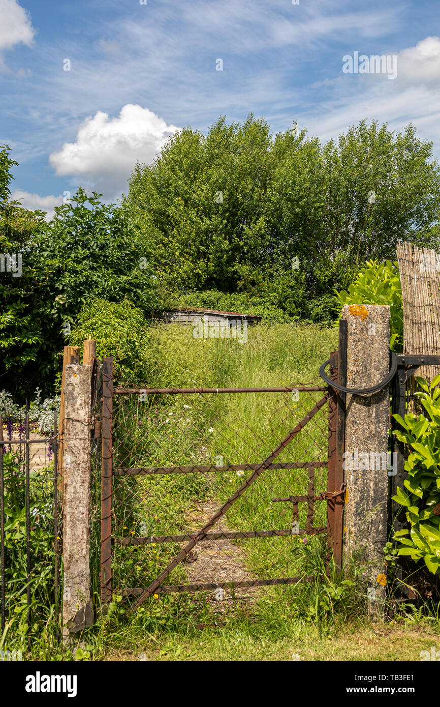 Metal field gate, English Countryside in summer Stock Photo - Alamy