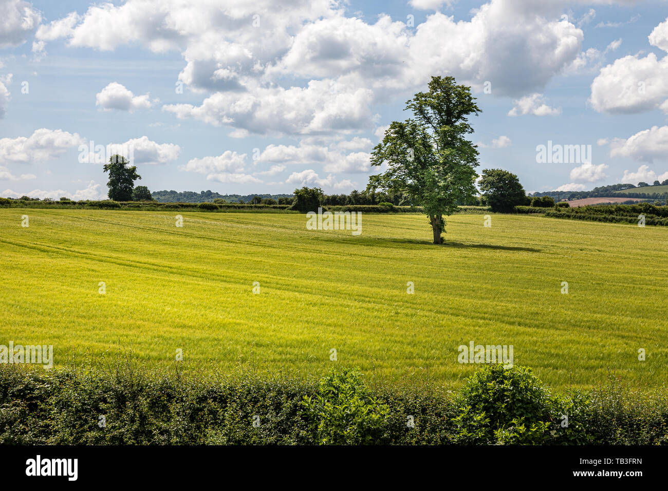 Longwick hi-res stock photography and images - Alamy