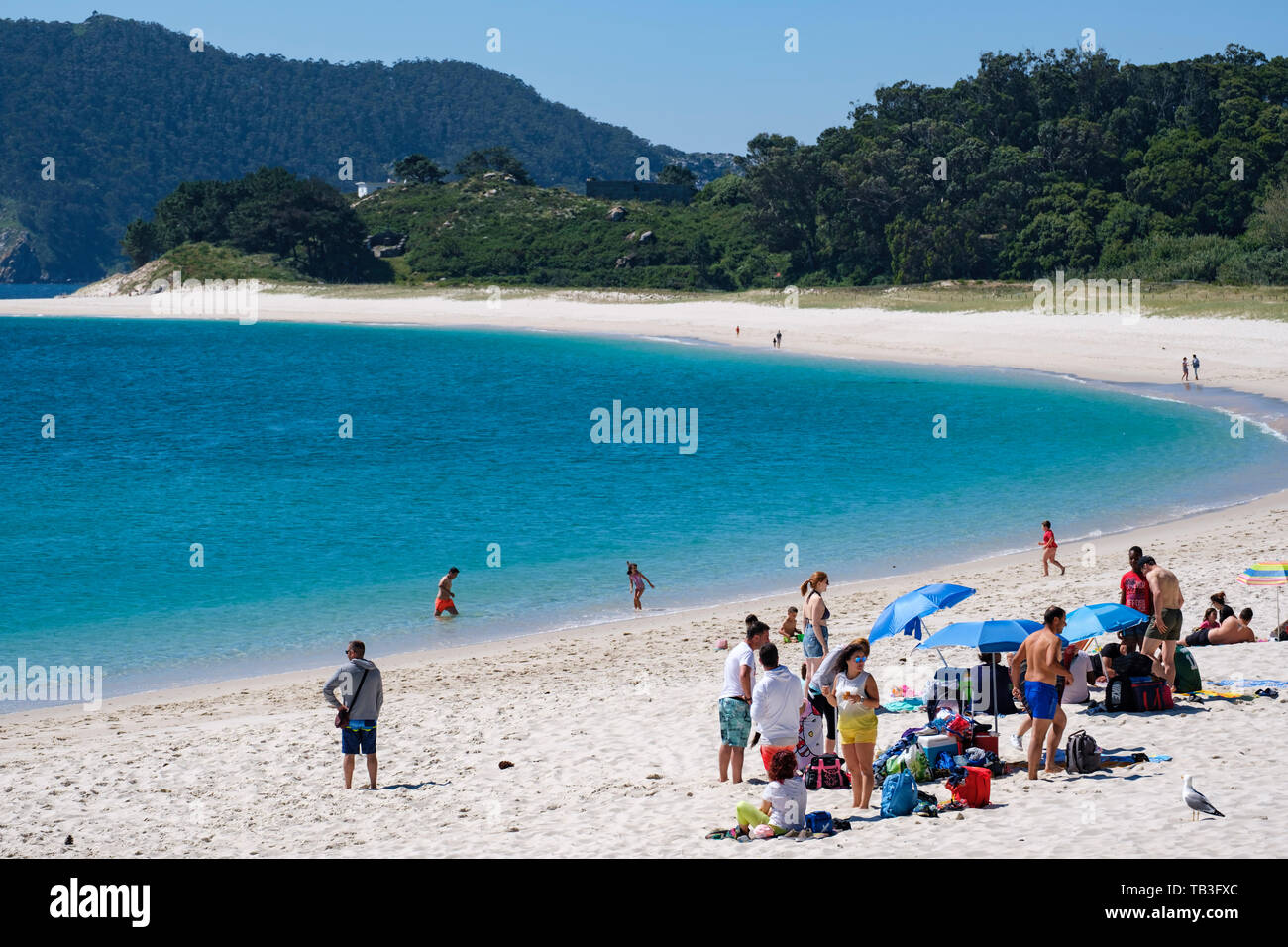 Praia de Rodas beach at the Cíes Islands, Galicia, Spain, Europe Stock ...