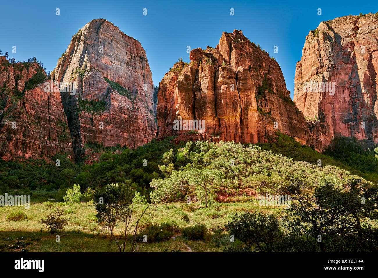 Big Bend of Zion National Park, Utah, USA, North America Stock Photo ...