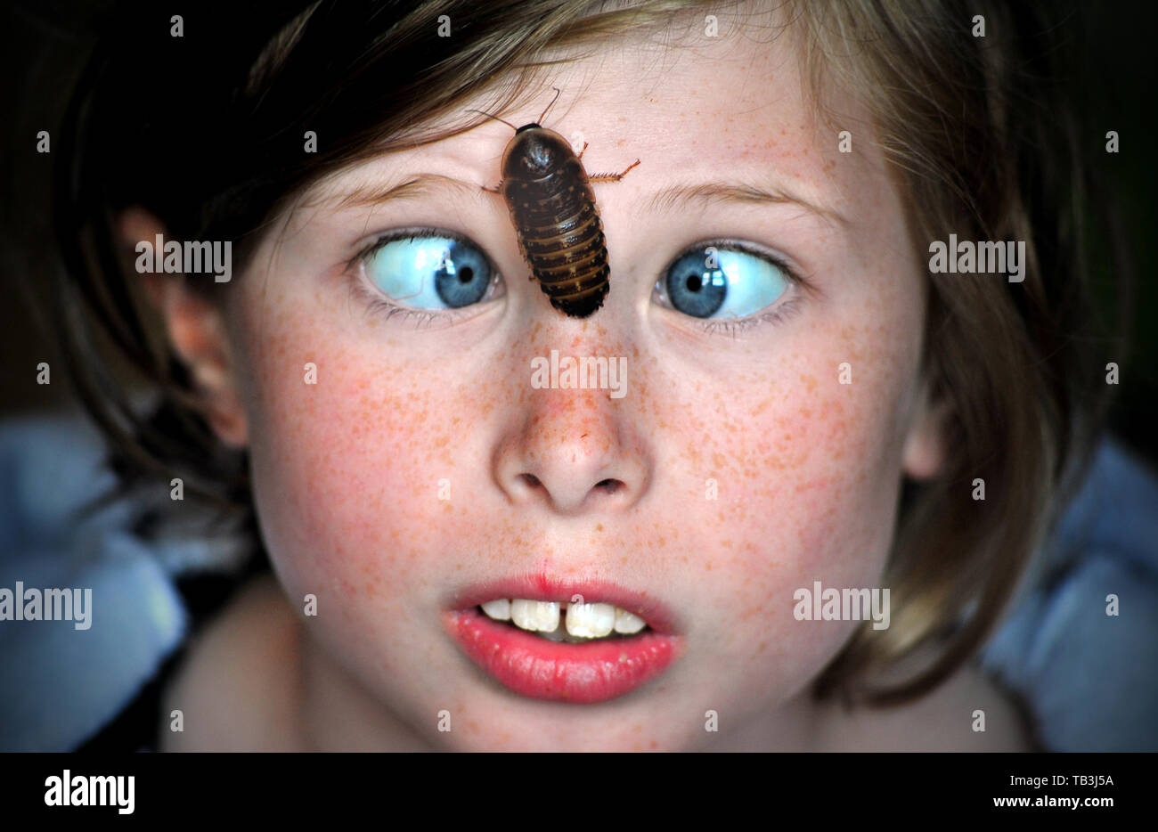 Bug crazy hobby hi-res stock photography and images - Alamy