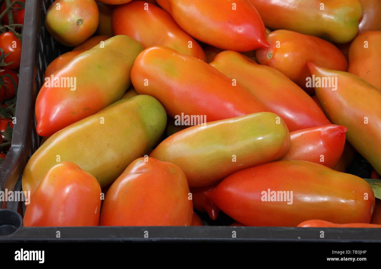 boxes of red tomatoes for sale at local market Stock Photo - Alamy
