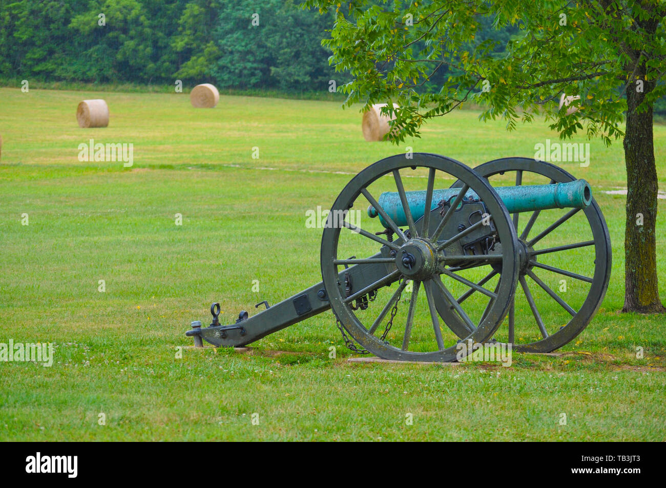 Cannin hi-res stock photography and images - Alamy