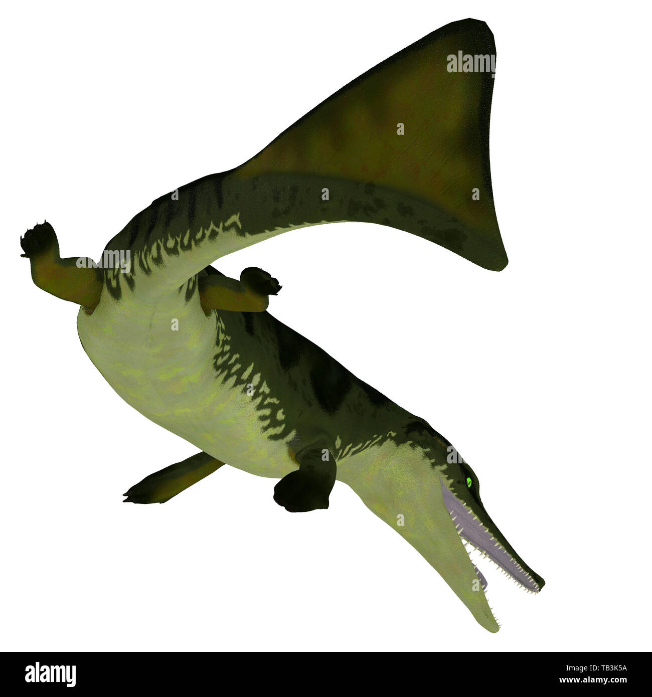 Jurassic marine deposits hi-res stock photography and images - Alamy