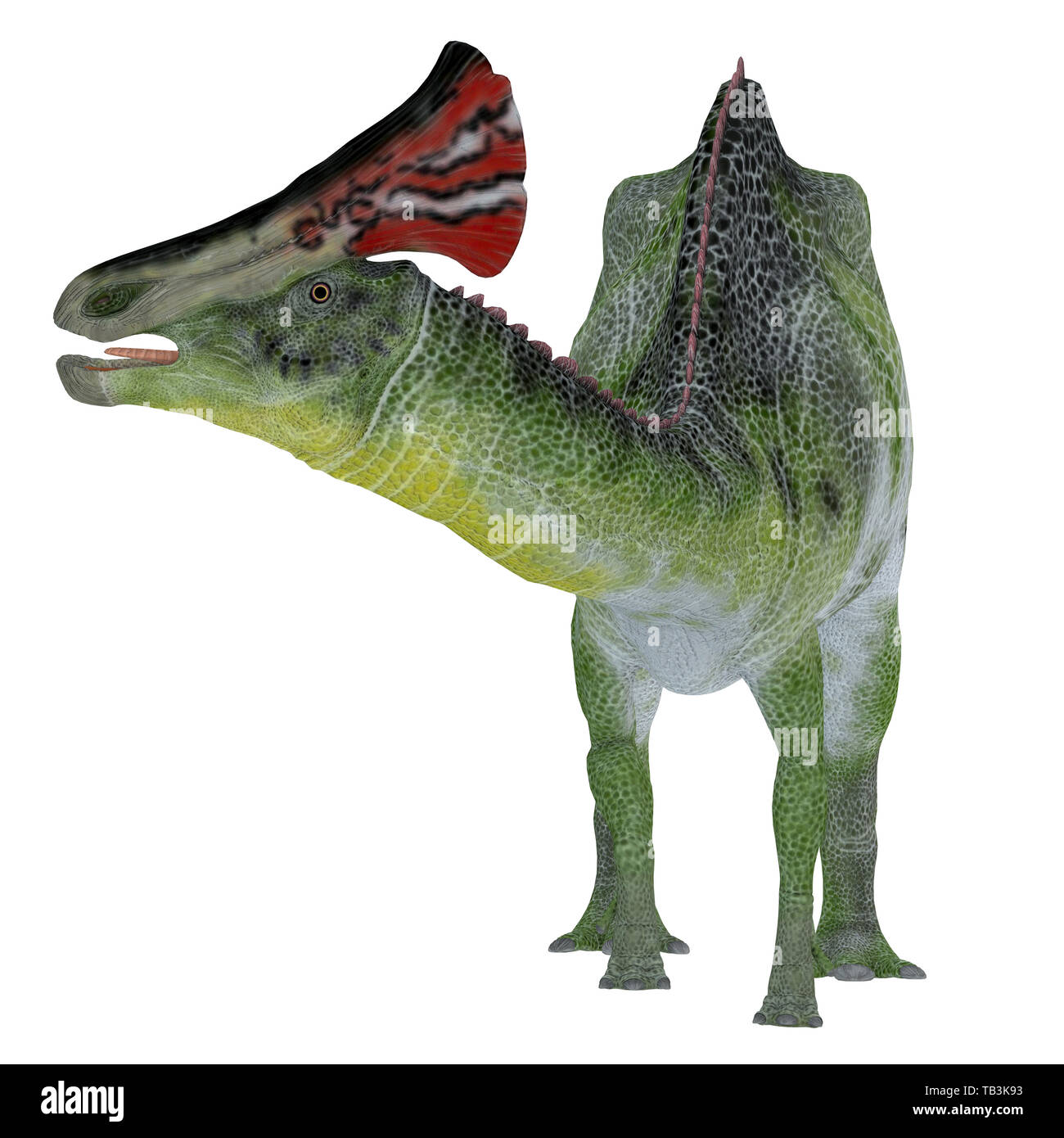 Hadrosauridae hi-res stock photography and images - Alamy