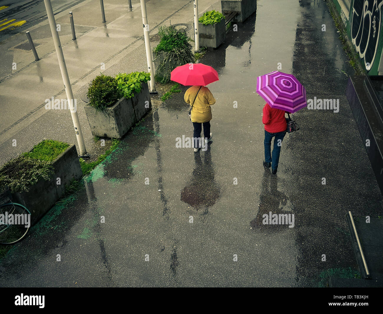 women walk with an umbrella on a rainy, wet street. colorful umbrella ...