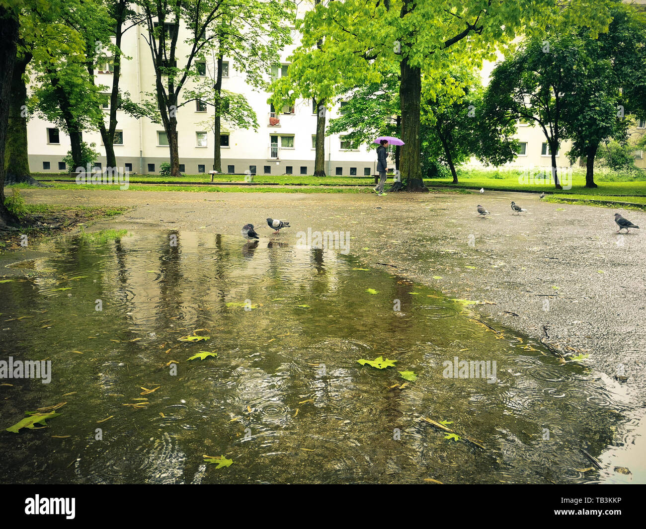 Huge puddle of rain water hi-res stock photography and images - Alamy