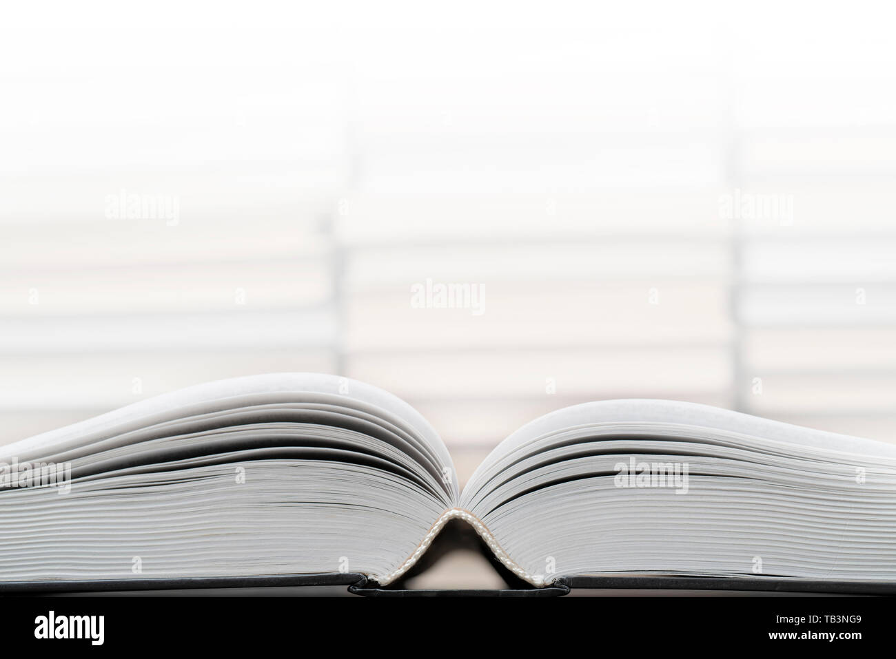 Pages of an open book. Symbol of knowledge, science, study, wisdom ...