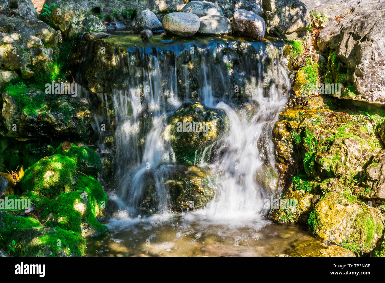 Garden showing water feature Stock Photo - Alamy