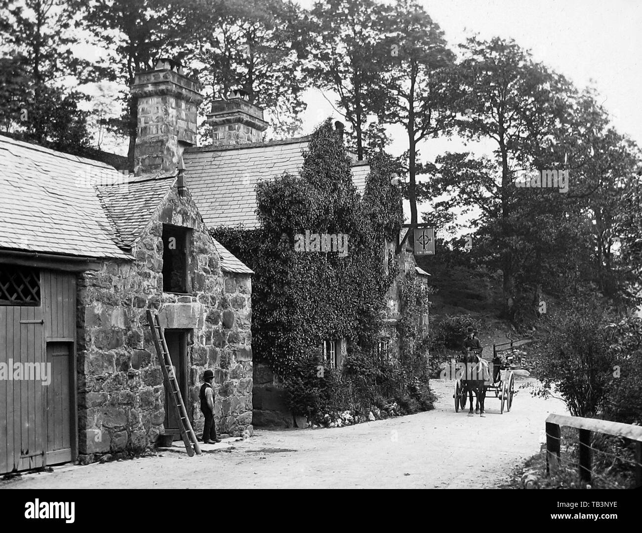 Y groes hi-res stock photography and images - Alamy