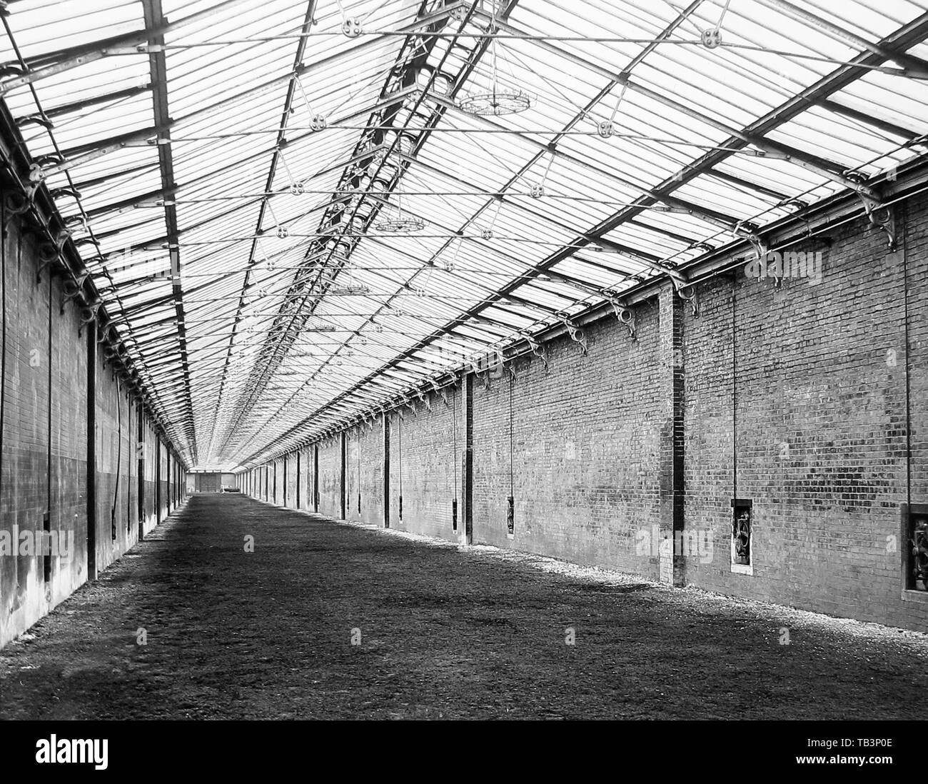 Welbeck Abbey Tan Gallop Stock Photo - Alamy