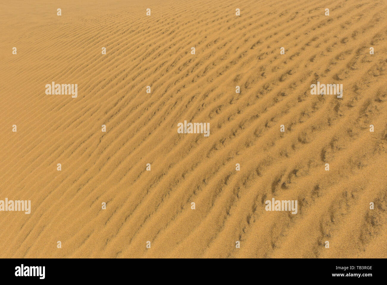 Desert texture hi-res stock photography and images - Alamy