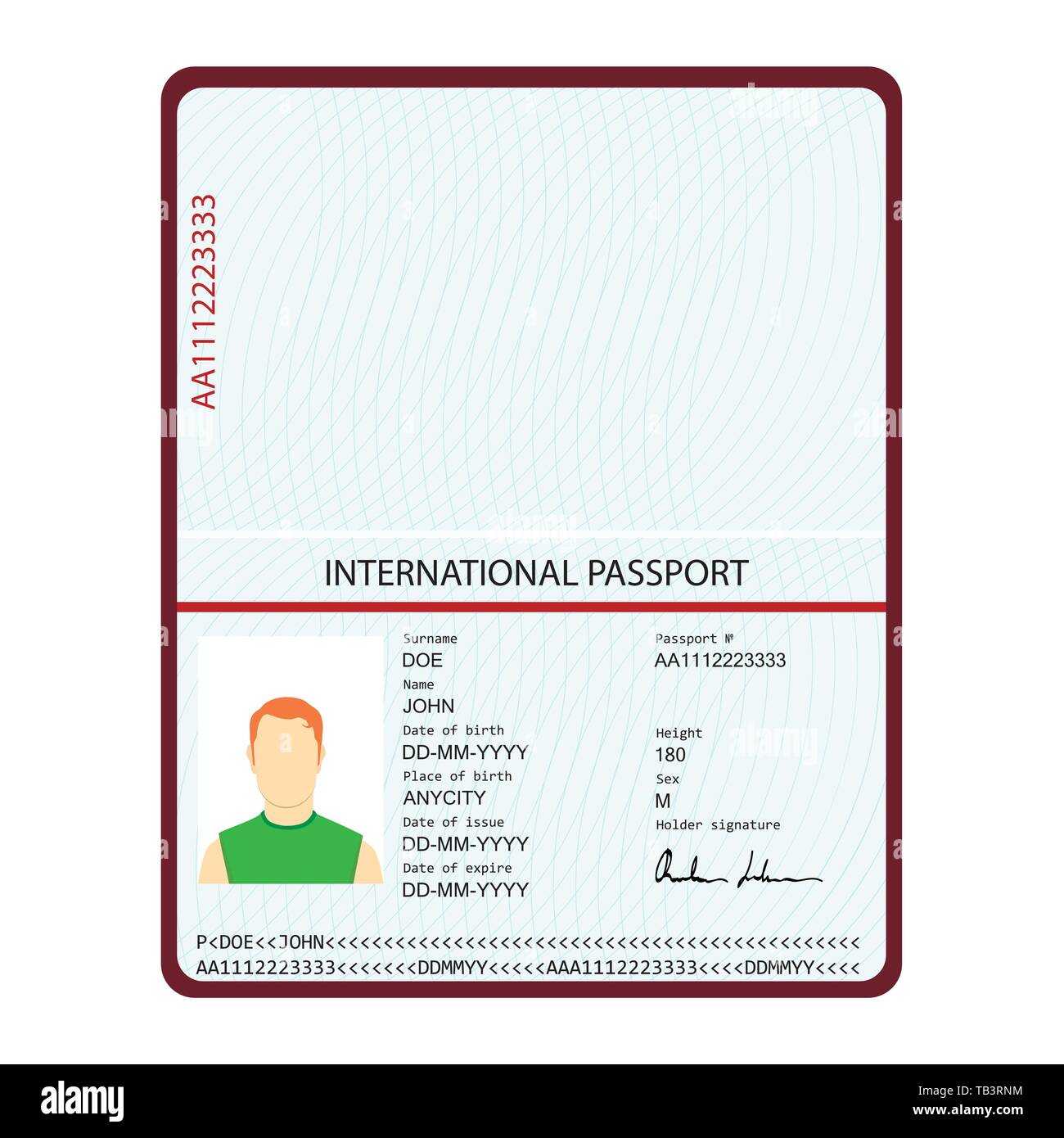 Passport with biometric data. Identification Document. international ...