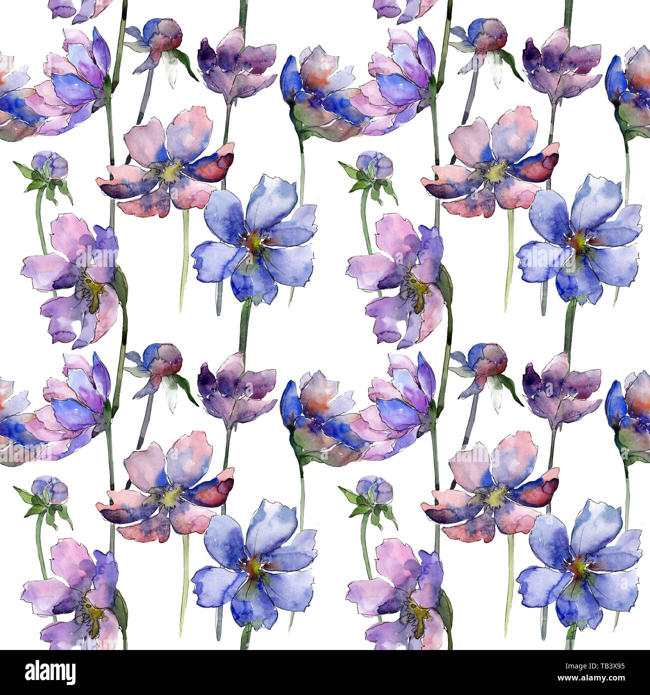Violet cosmos flower floral botanical flower. Wild spring leaf ...