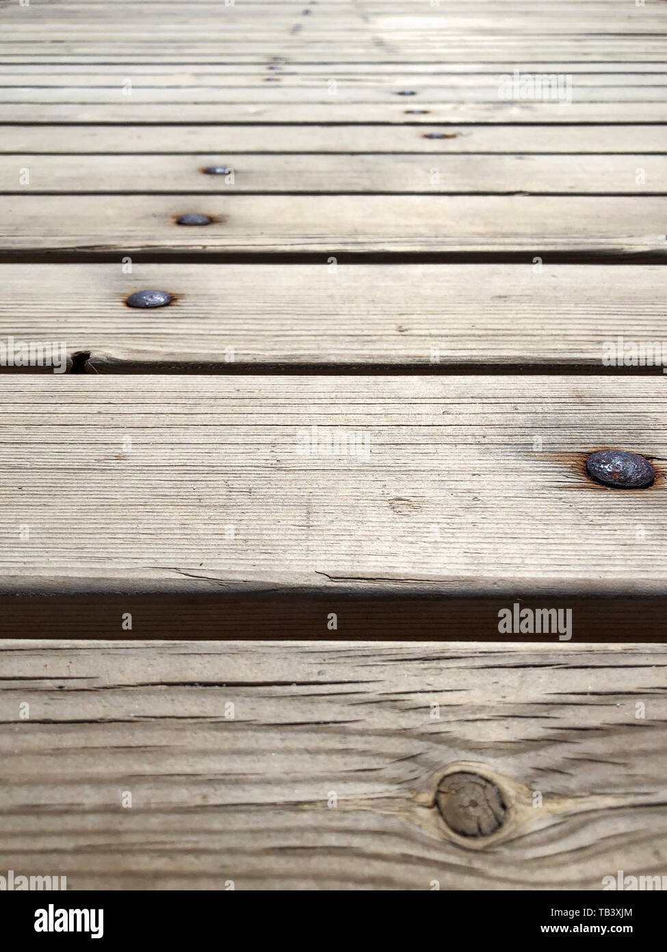 Coniferous wood panels with a rusty mount. Texture for background Stock ...