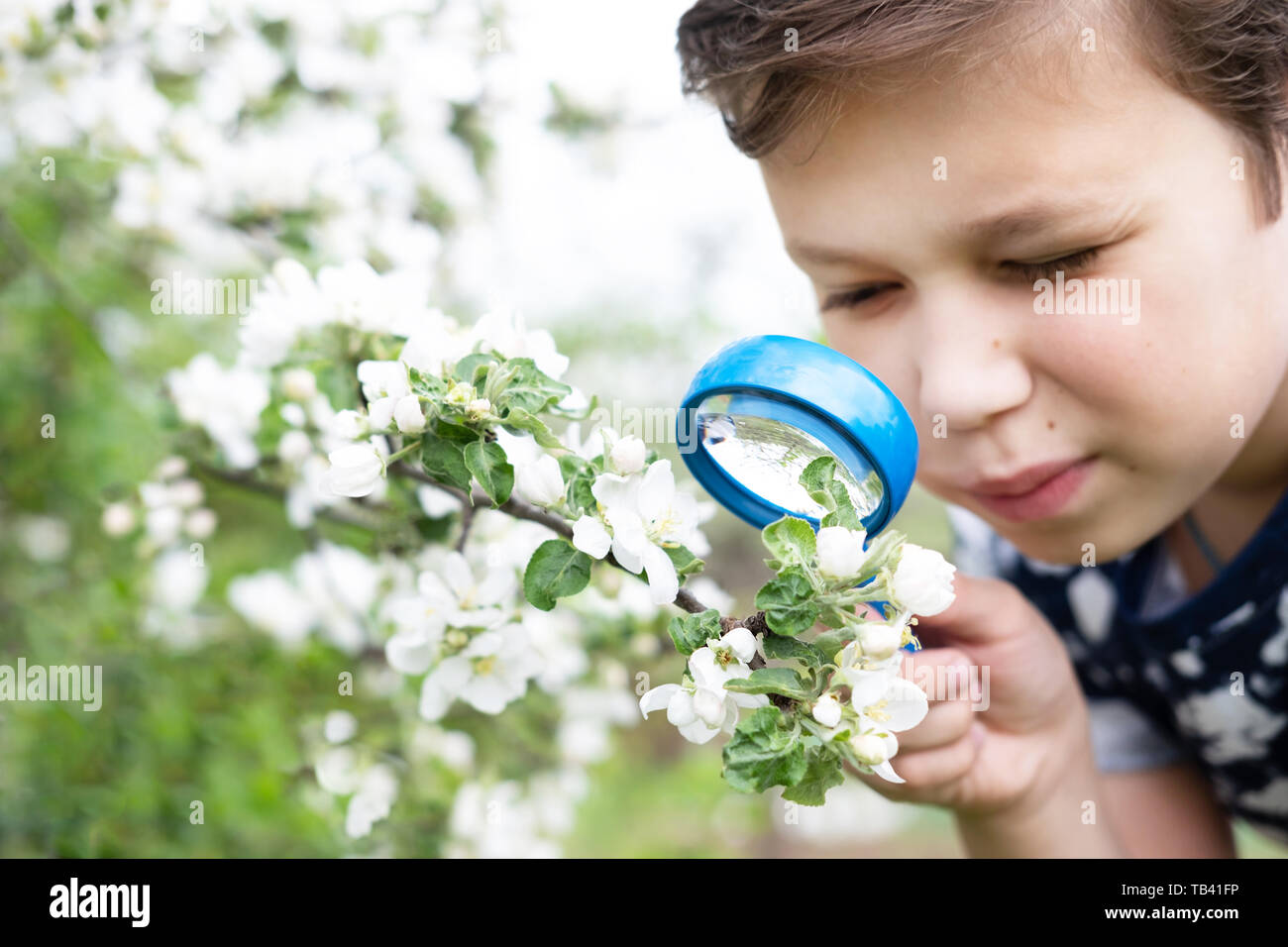 Little boy looking at flower through magnifier. Charming schoolboy ...