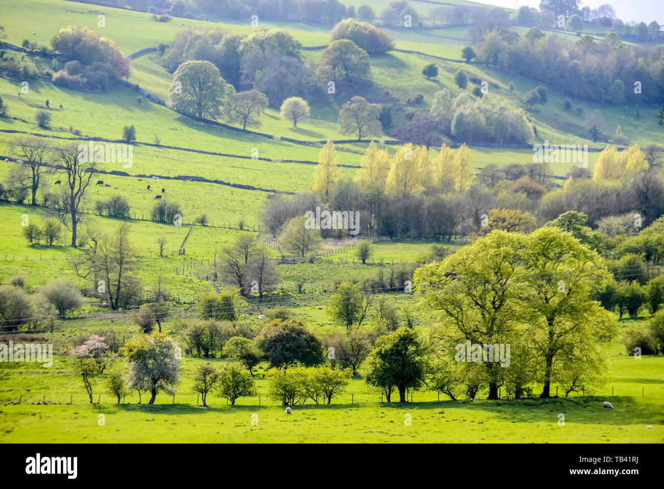 Parwich peak district hi-res stock photography and images - Alamy