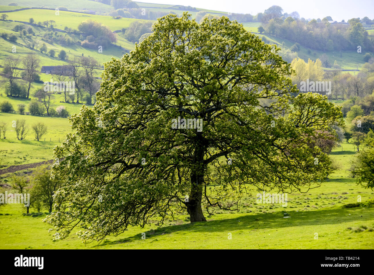 Parwich peak district hi-res stock photography and images - Alamy