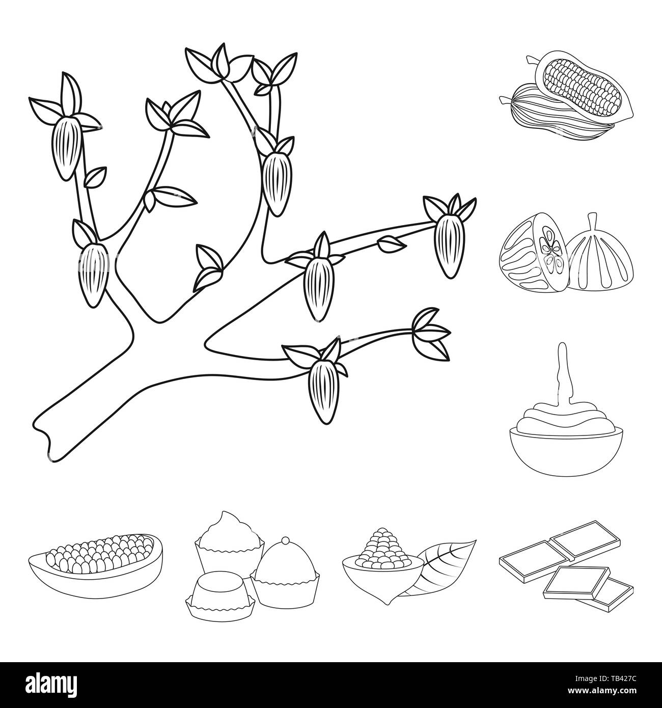 tree,seed,chocolate,cake,piece,hot,plantation,milk,delicious,tasty ...