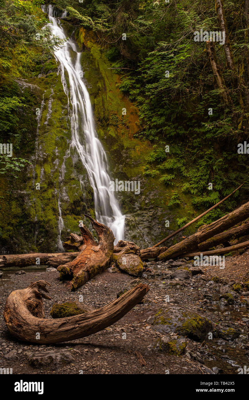 The Marymere Waterfall in Olympic National Park, Washington State, USA ...