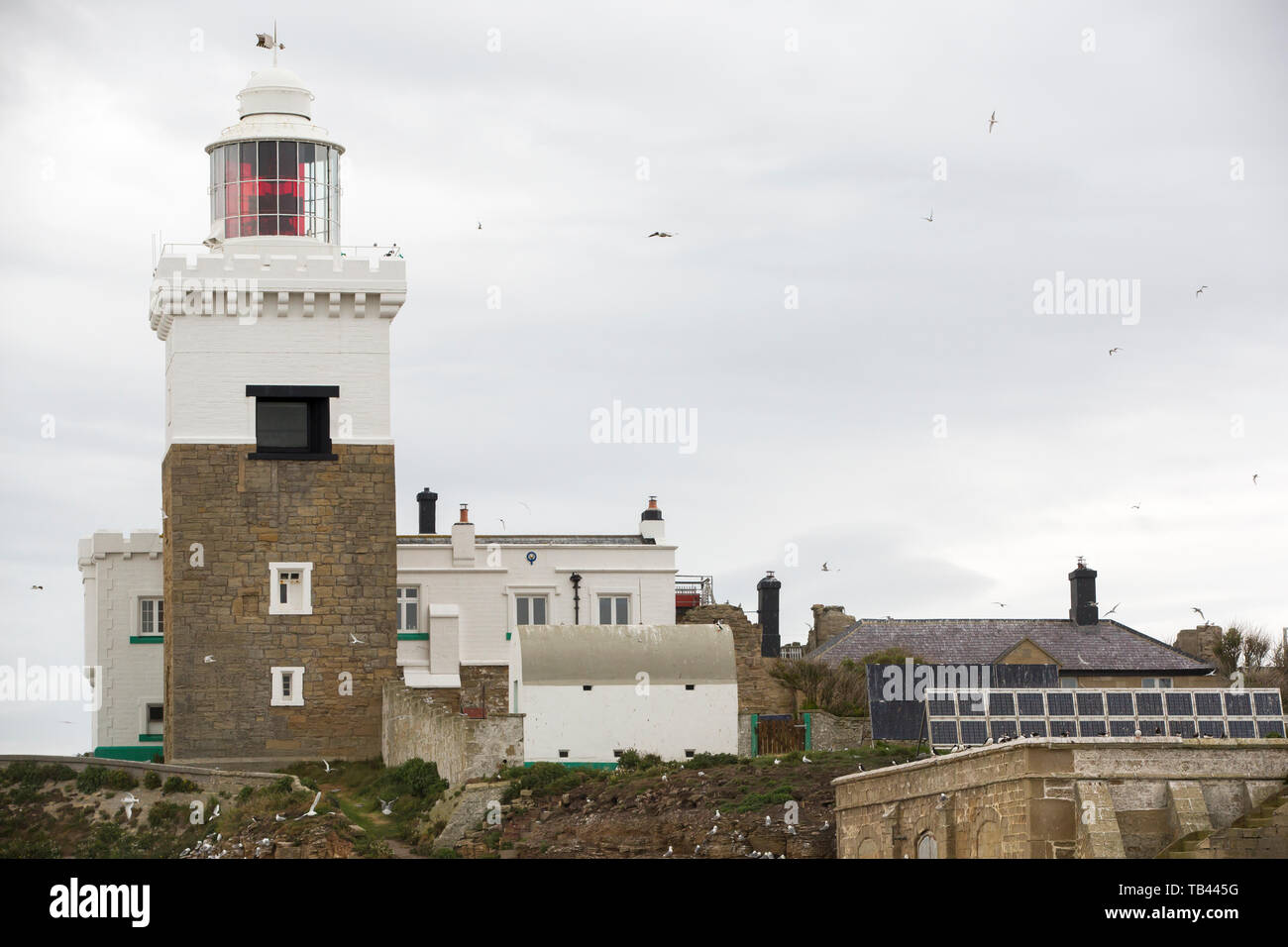 The lighthouse on Coquet Island off Amble on the Northumberland coast ...