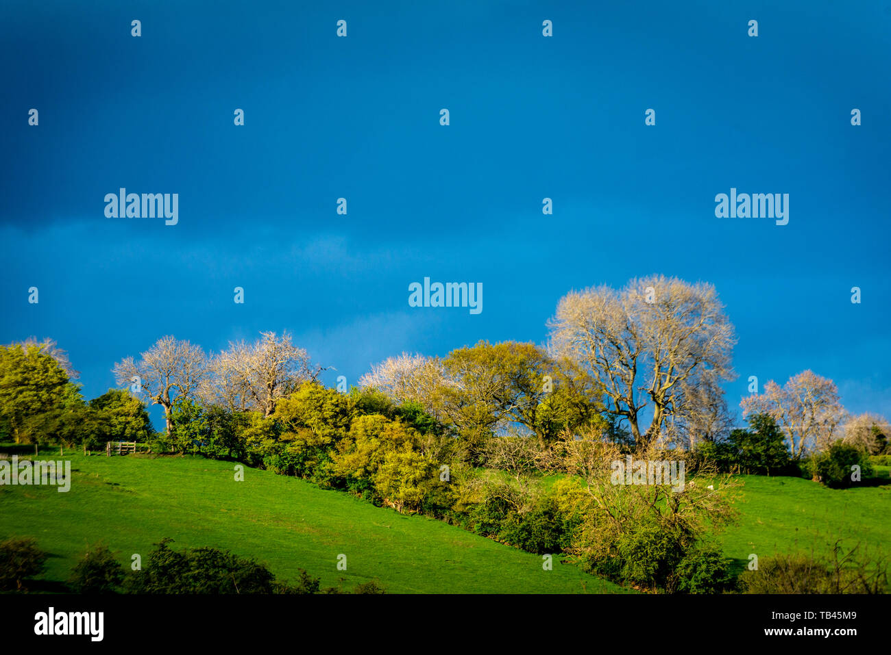 Parwich peak district hi-res stock photography and images - Alamy