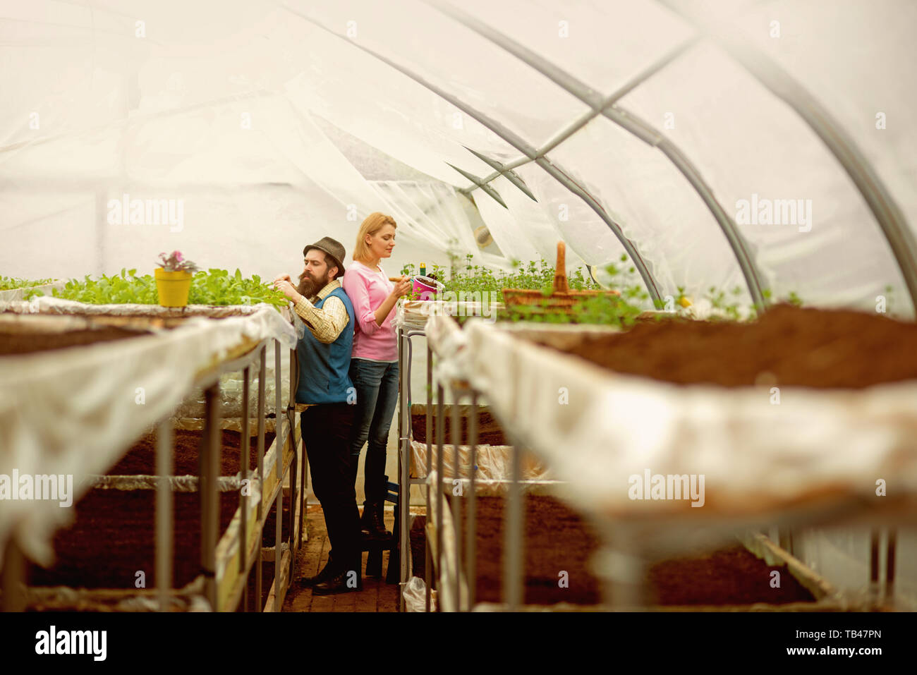 soil fertilizer. soil fertilizer production. natural soil fertilizer in ...