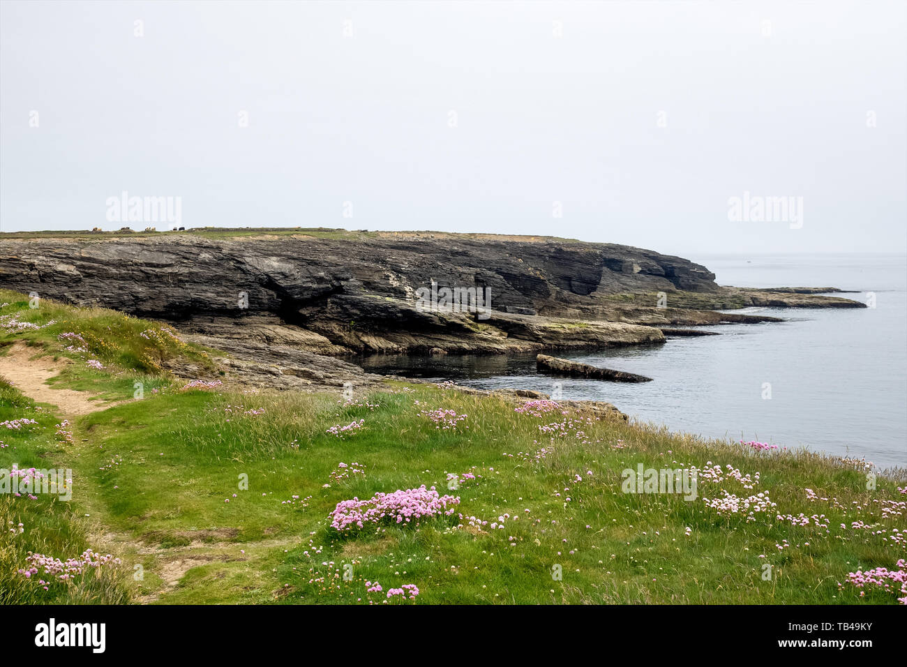 Ring of hook peninsula co wexford hi-res stock photography and images ...