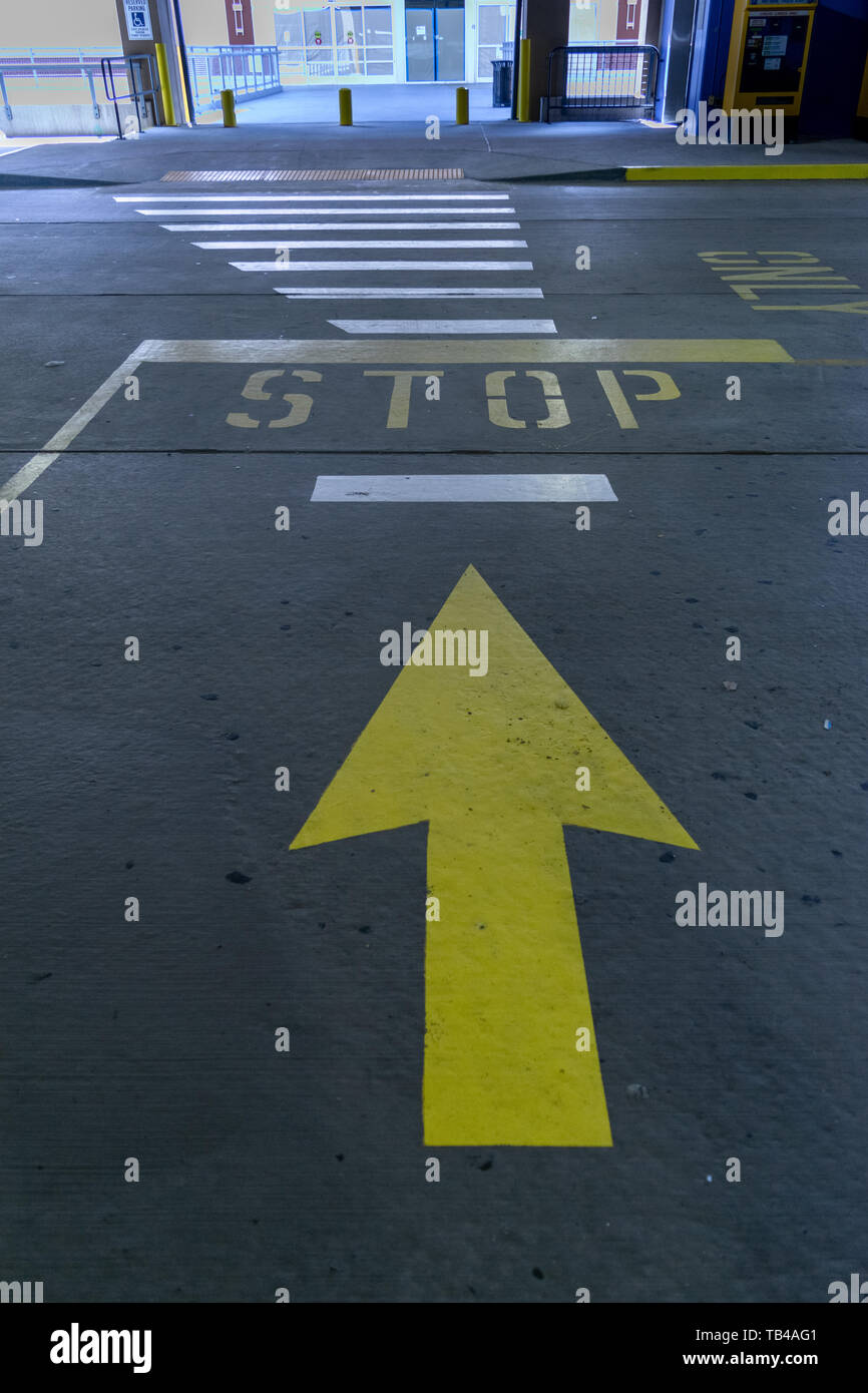 Big yellow arrow street markings pointing toward a stop sign Stock ...