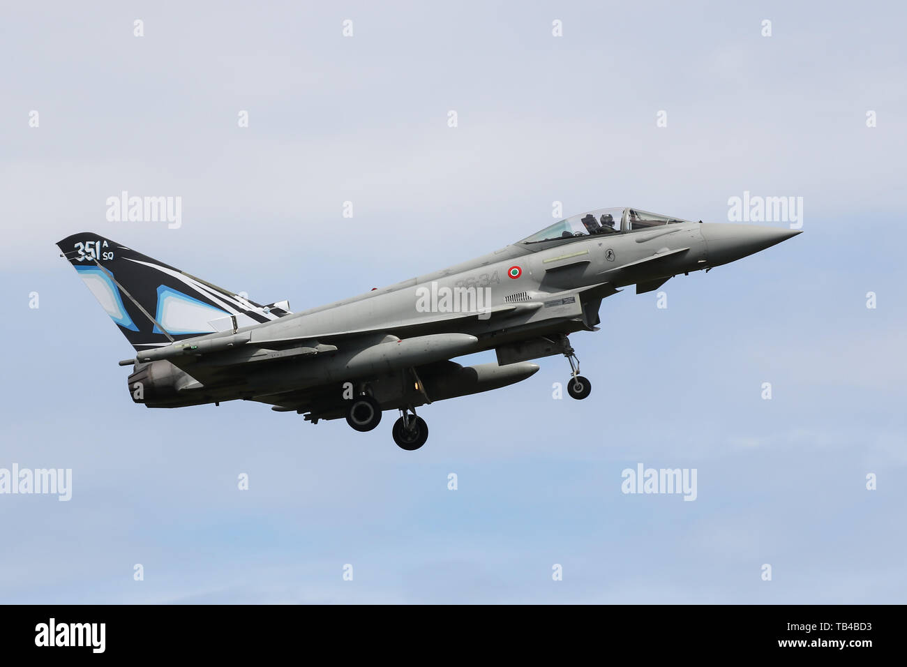 Tiger meet hi-res stock photography and images - Alamy