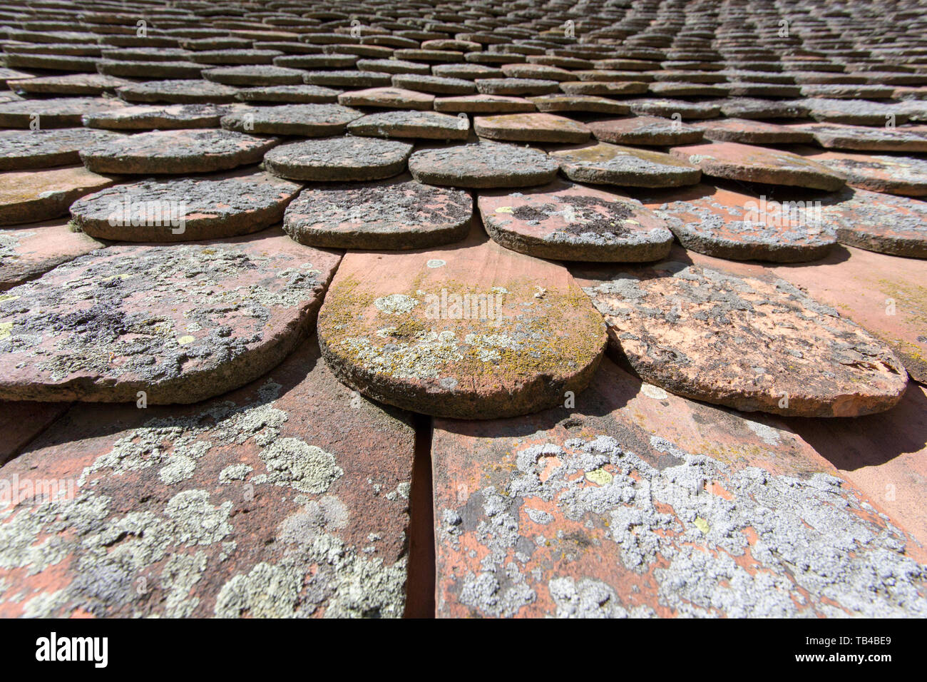 A background photo of tiles in Romania Stock Photo - Alamy