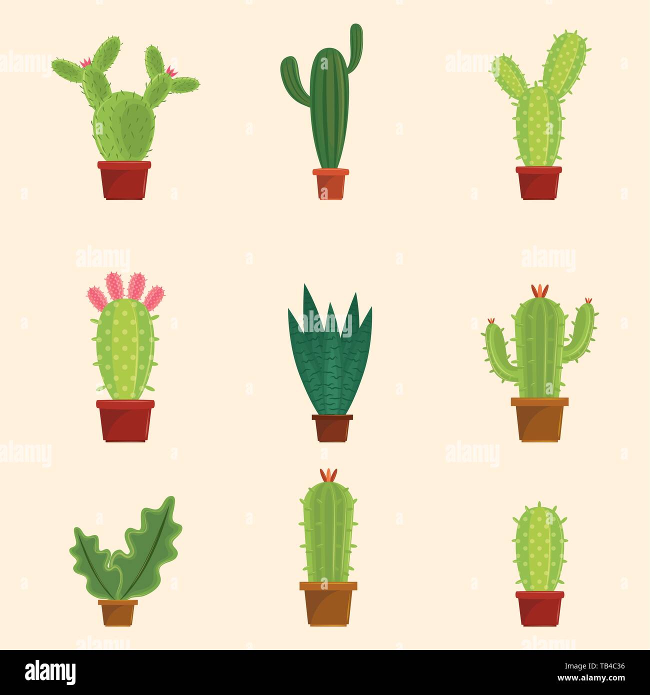 Succulents in white pots Stock Vector Images - Alamy