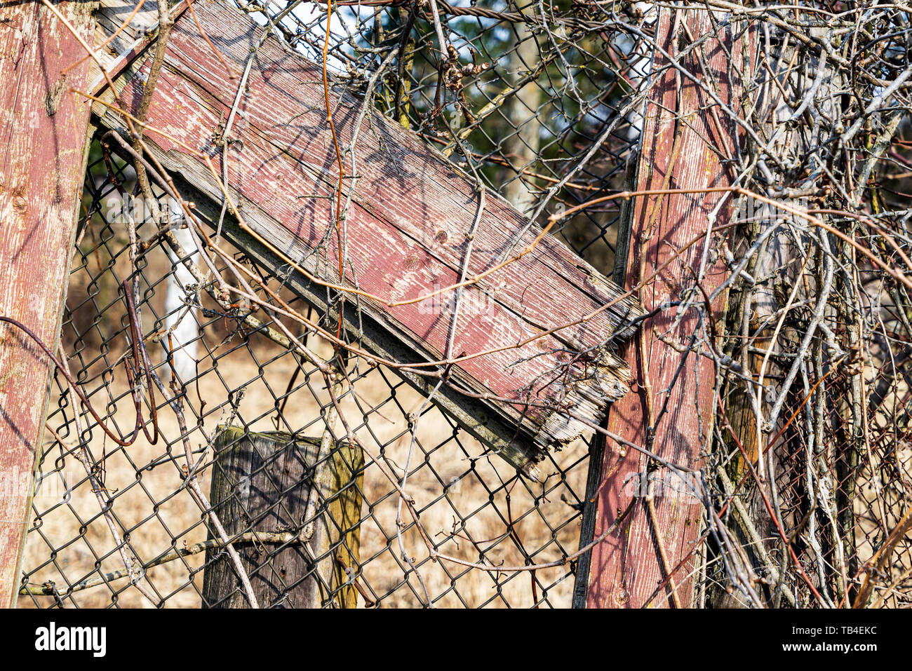 old wooden plank building structure in countryside. loneliness and ...