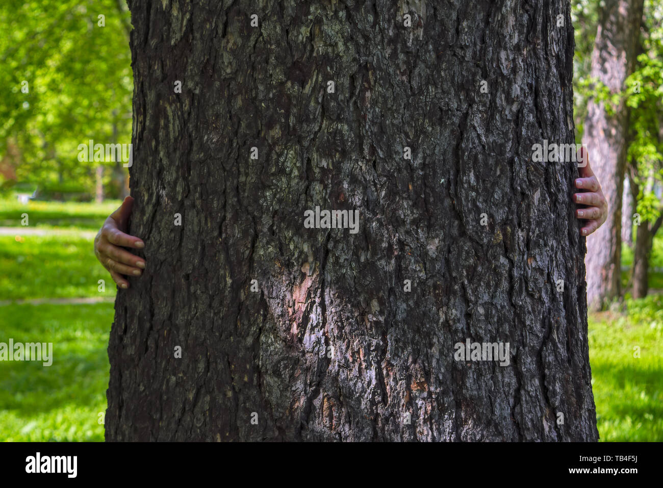 Arms embracing tree concept human hi-res stock photography and images ...
