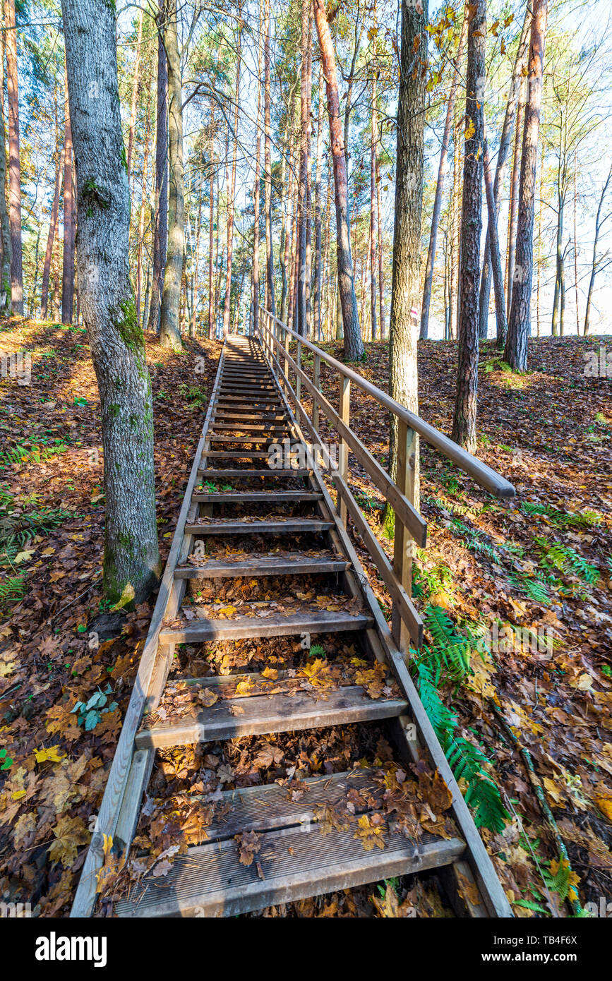 wooden fire watchtower construction details. forest tower Stock Photo ...