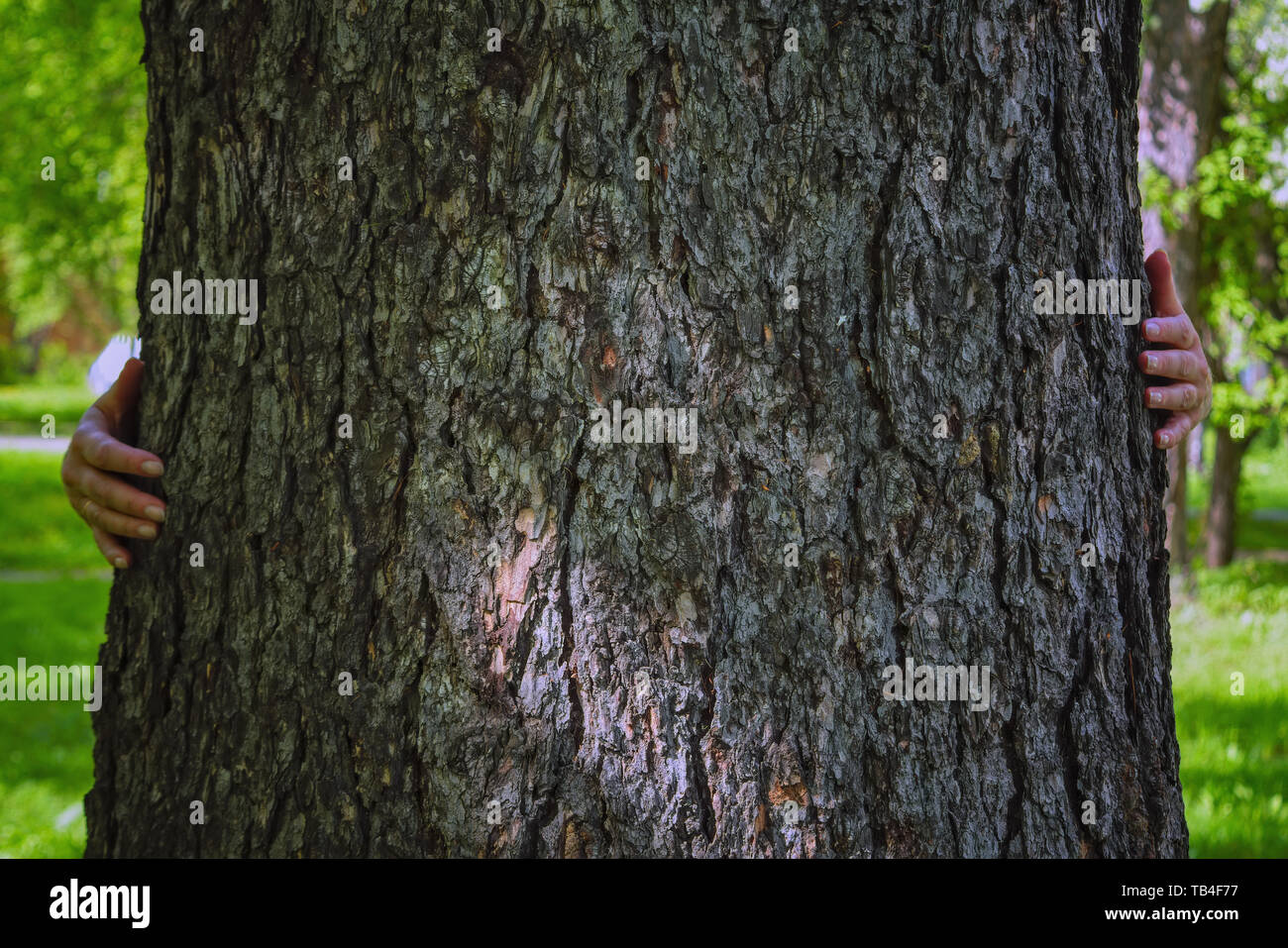 Closeup of hands embracing tree trunk Stock Photo - Alamy